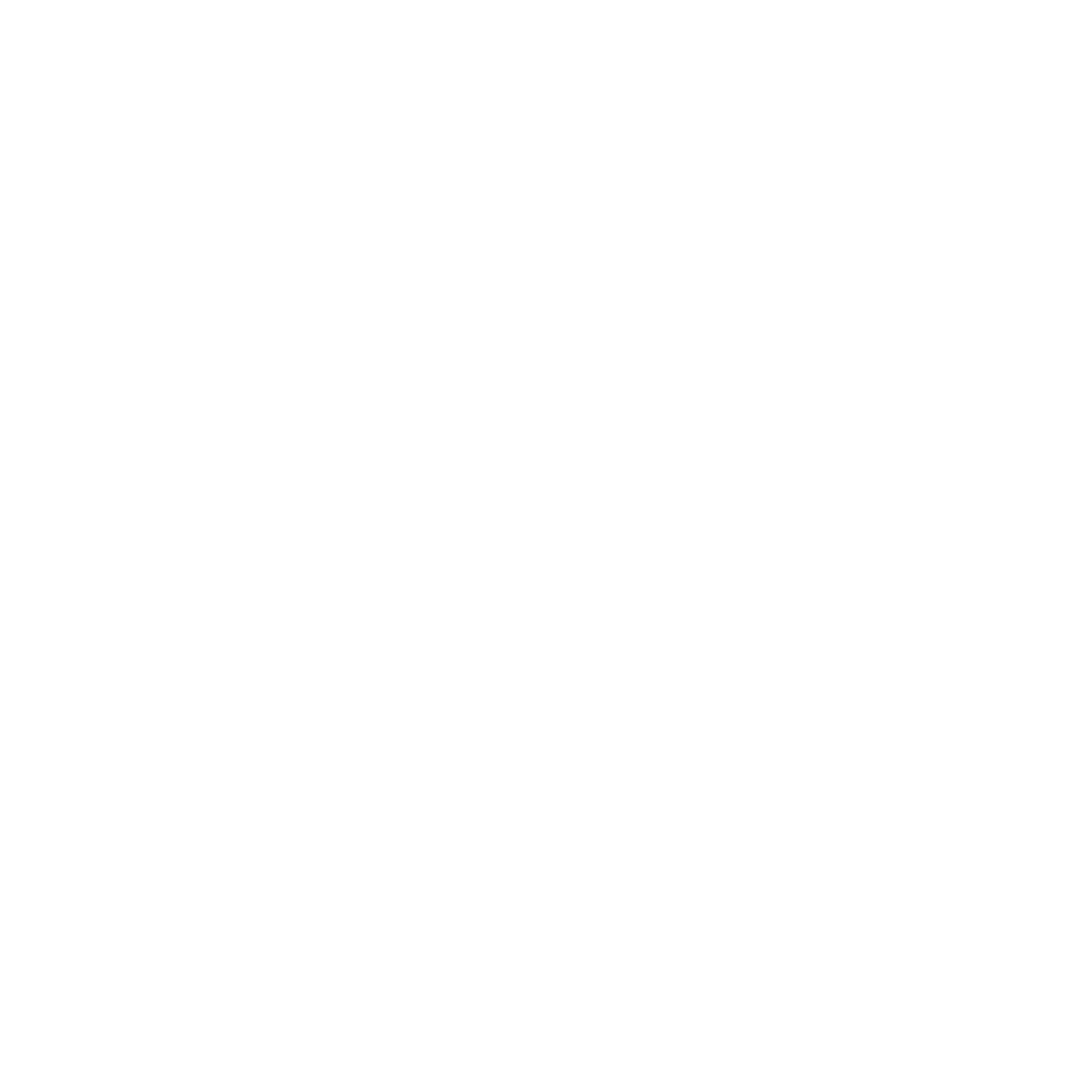 Company TIN – Access Point Consulting and Audting
